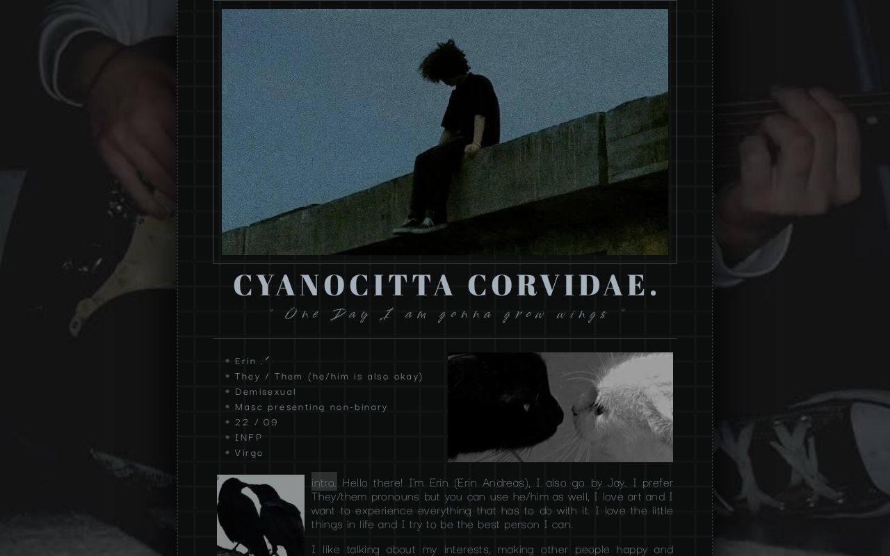 Cyanocitta Corvidae